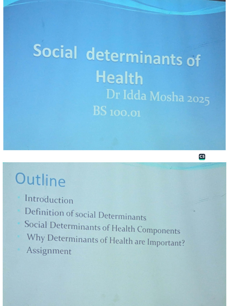 3. Social Determinants of Health | PDF