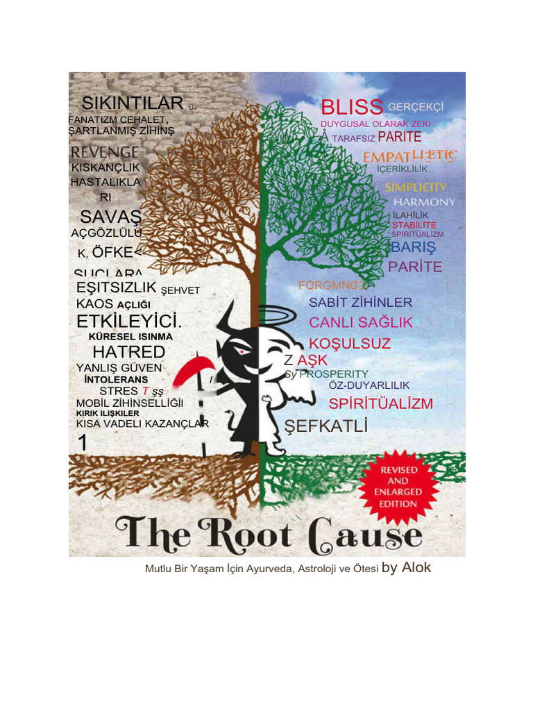 Alok Jain - Kök Neden | PDF