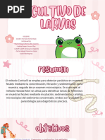 Harada Mori | PDF | Papel | Agua