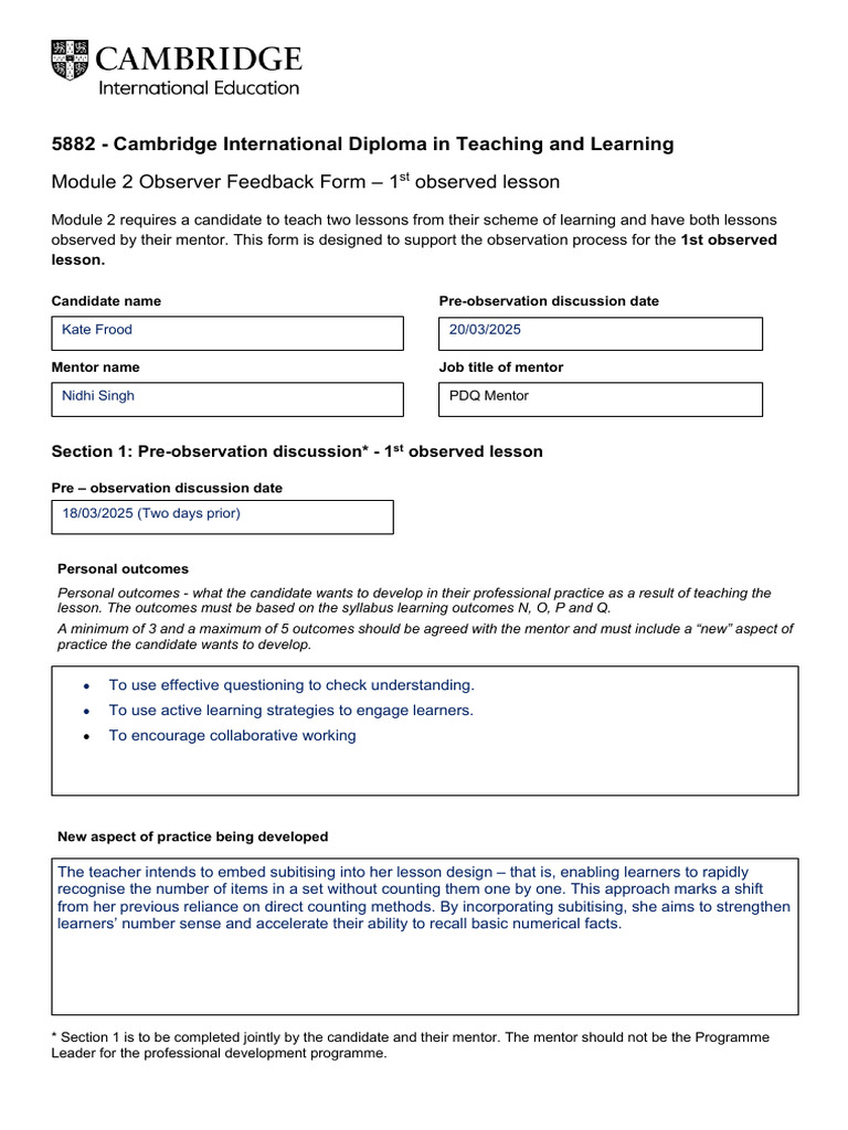 DTL Observer Feedback Form - Primary Math Lesson | PDF | Learning ...