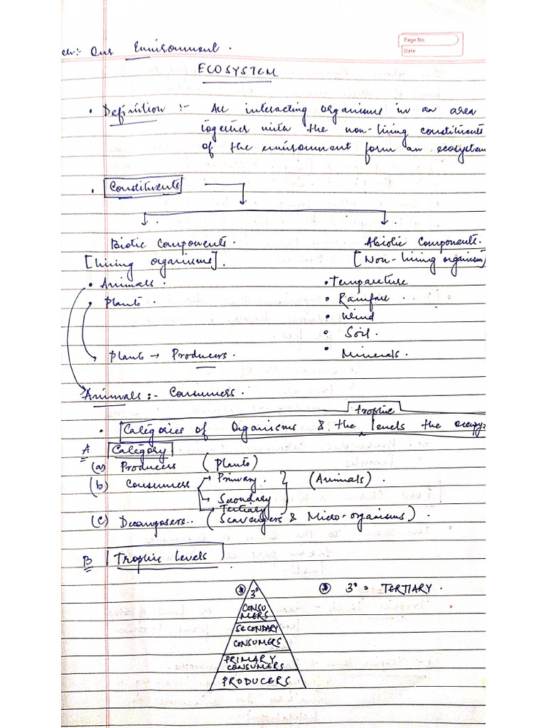 Our Environment | PDF