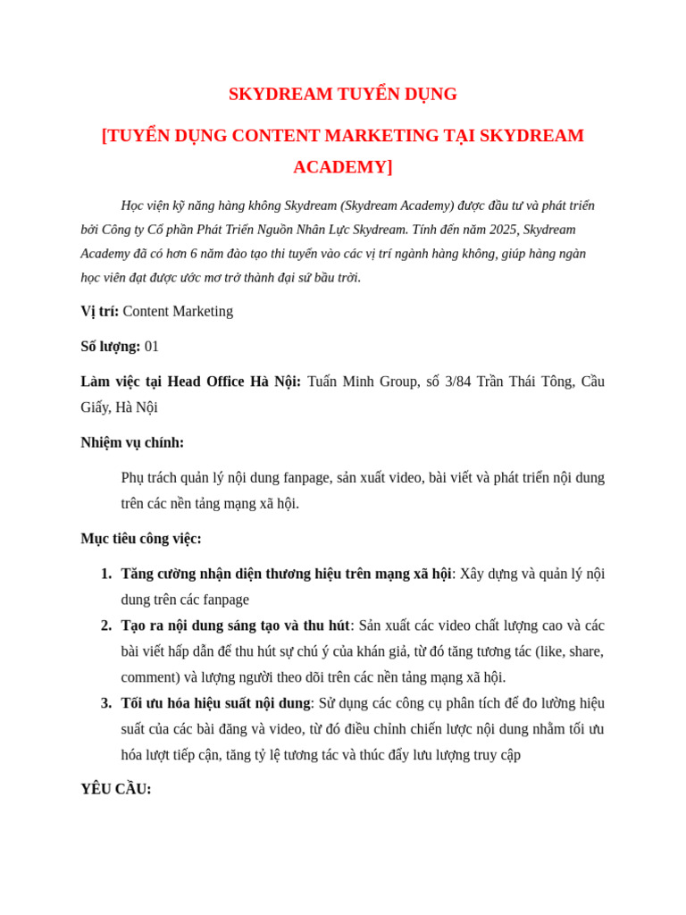 JD Content-Marketing Skydream | PDF