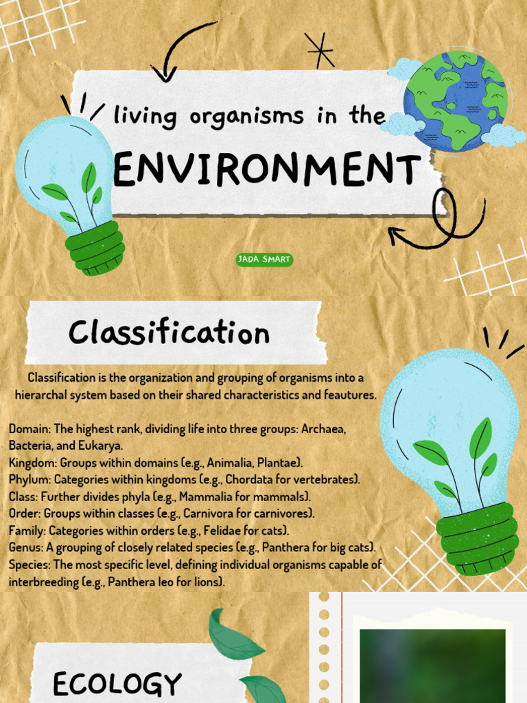 Living Organisms in The Environment PDF | PDF | Ecosystem | Ecology