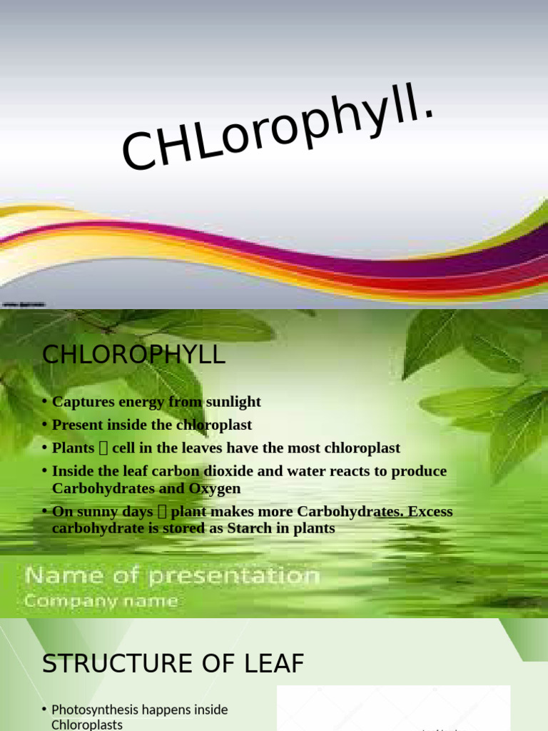 CHLOROPHYLL | PDF
