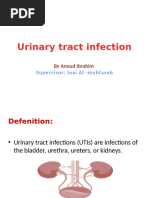 Urology Guidelines August 2022 | PDF | Urinary Tract Infection ...