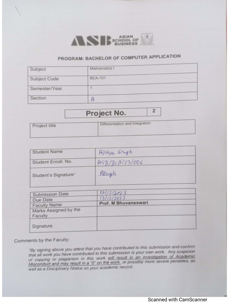 Maths Assignment Differentiation and Integration | PDF