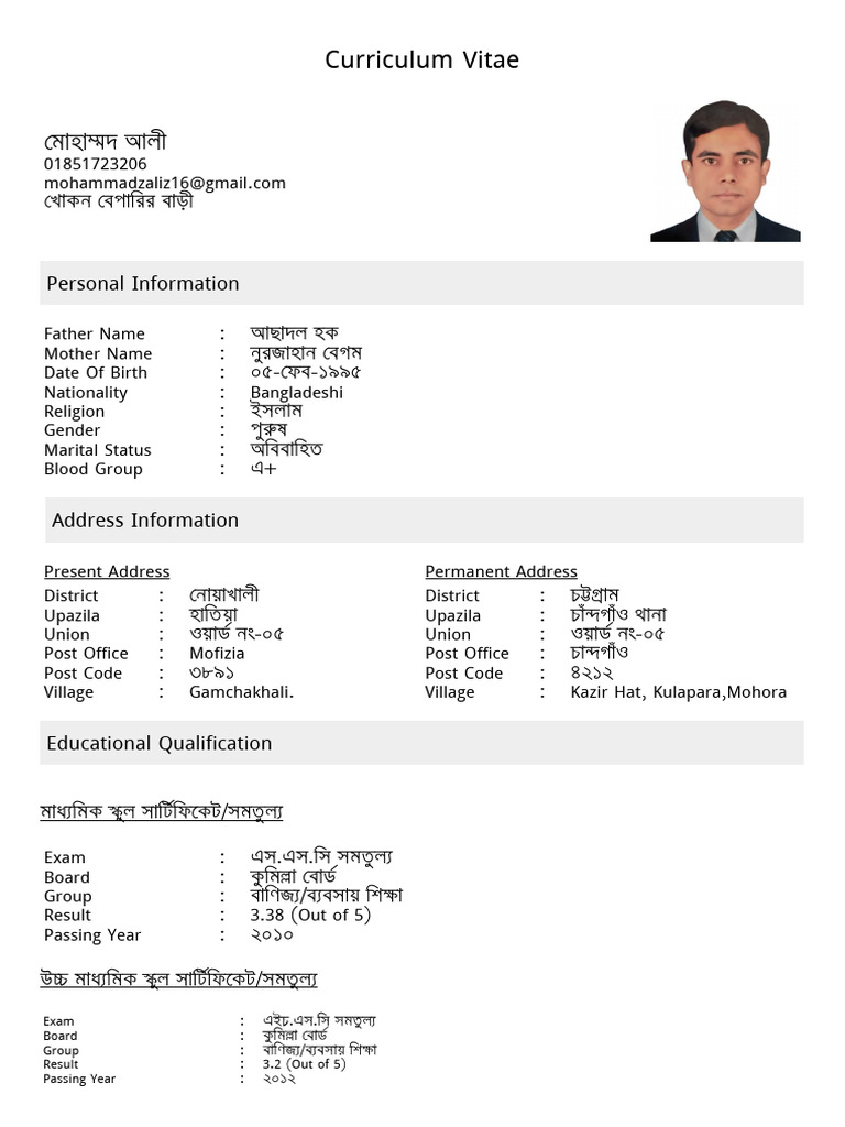 My CV 1 | PDF