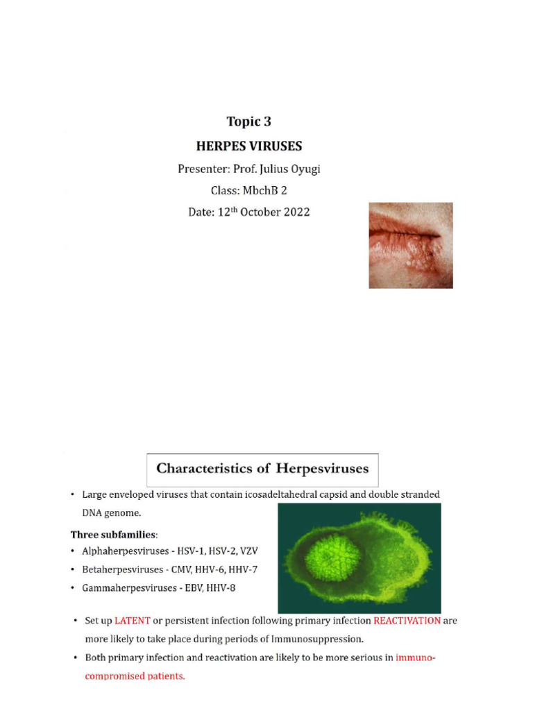 Herpes Viruses | PDF