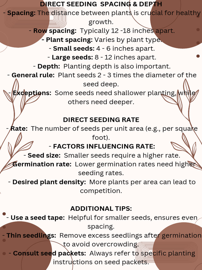DIRECT SEEDING SPACING & DEPTH - Spacing The Distance Between Plants Is ...