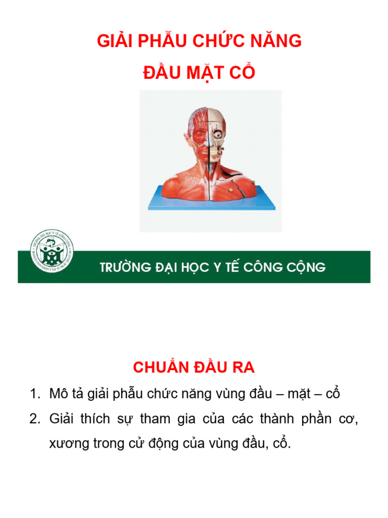Bài 4 GPCN Đầu Mặt Cổ | PDF