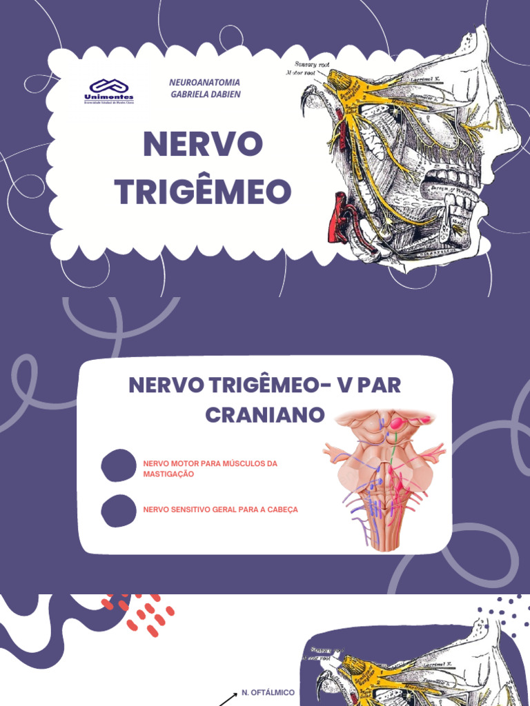 Nervo Trigêmeo - 20250401 - 101824 - 0000 | PDF | Sistema nervoso ...