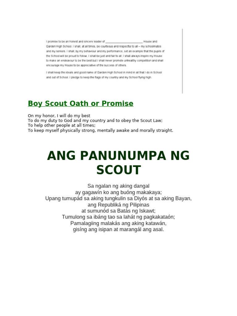 Boy Scout Oath or Promise | PDF