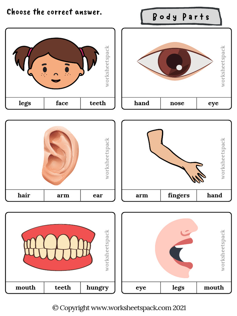 My Body Printables For Preschoolers | PDF