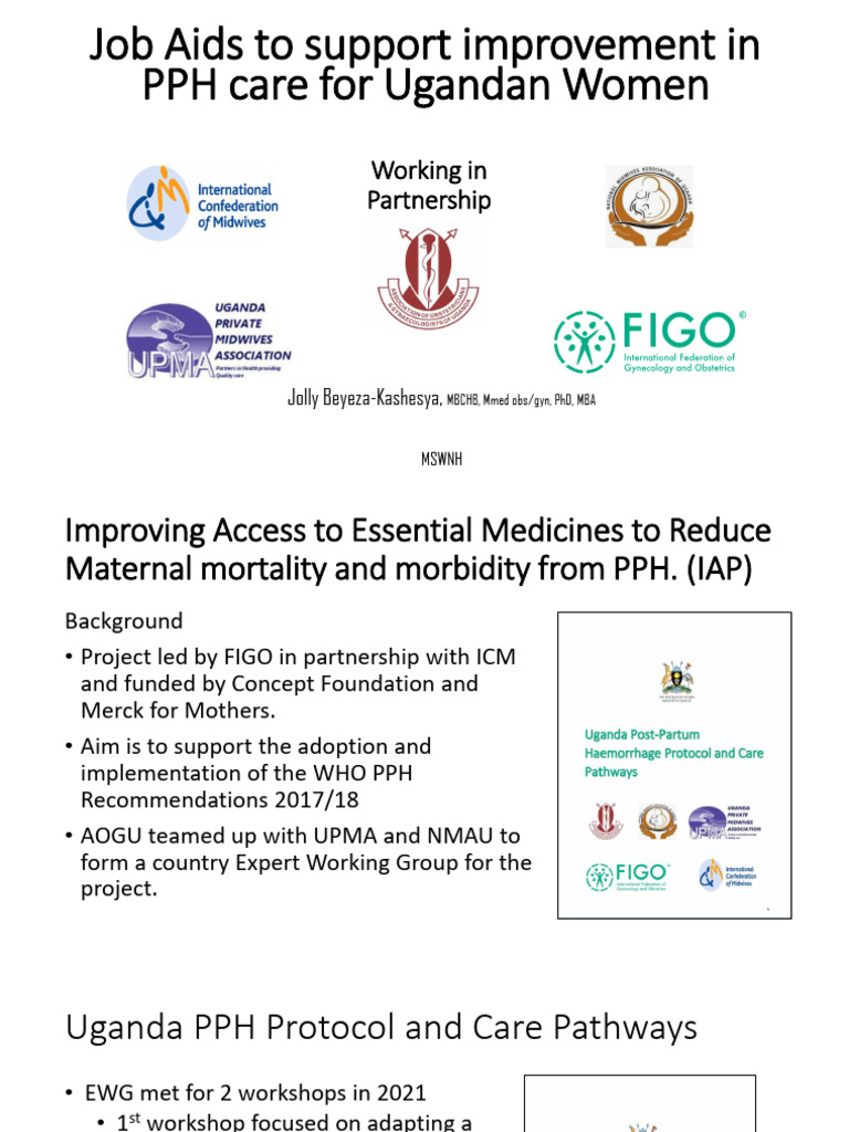 PPH Dissemination - MOH Workshop - 15feb23 | PDF