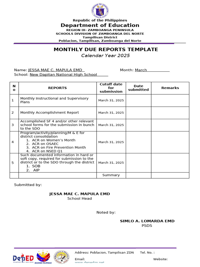 Monthly Reports Template 2025 | PDF