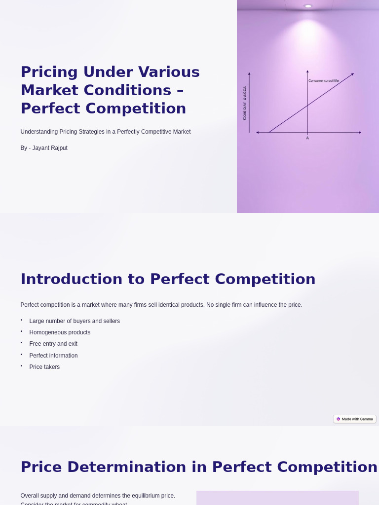 Pricing Under Various Market Conditions Perfect Competition | PDF ...