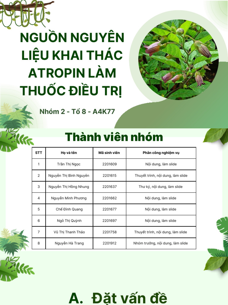 Green Clean Plants Shop Presentation | PDF