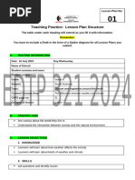 SS Lesson Plans Term 3 2024 | PDF | Lesson Plan | Learning