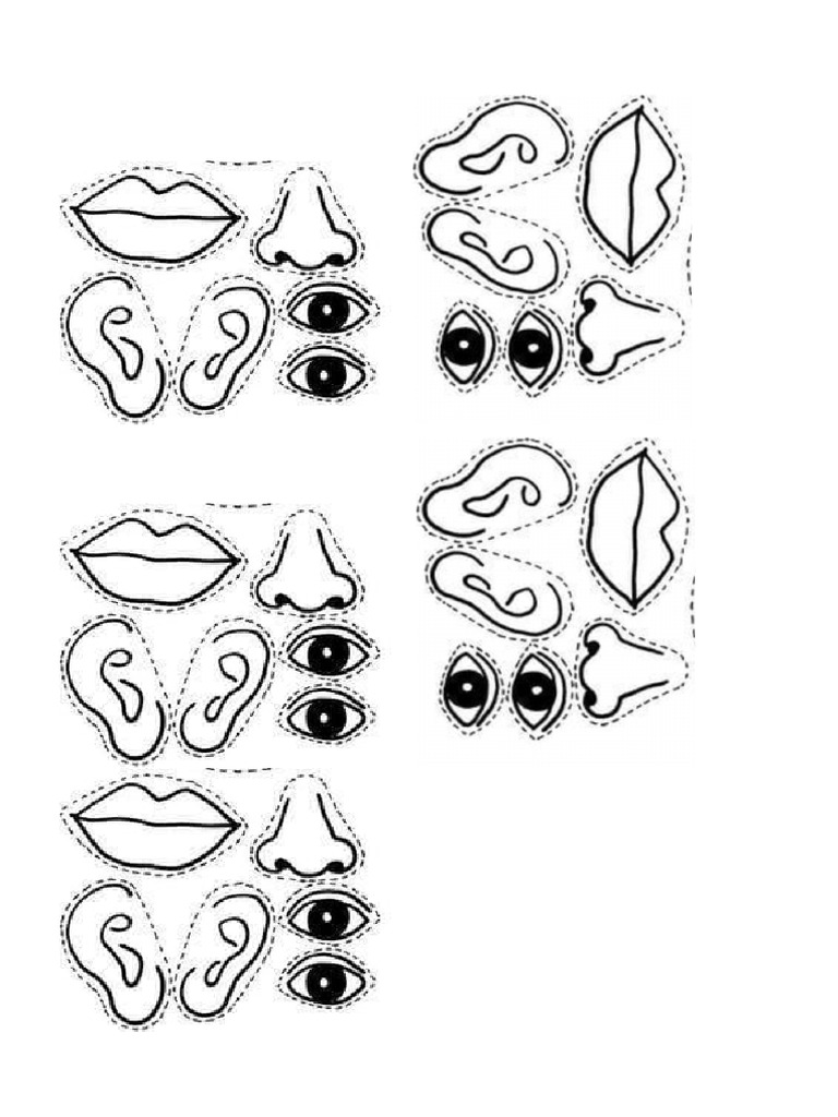 Partes Do Rosto | PDF