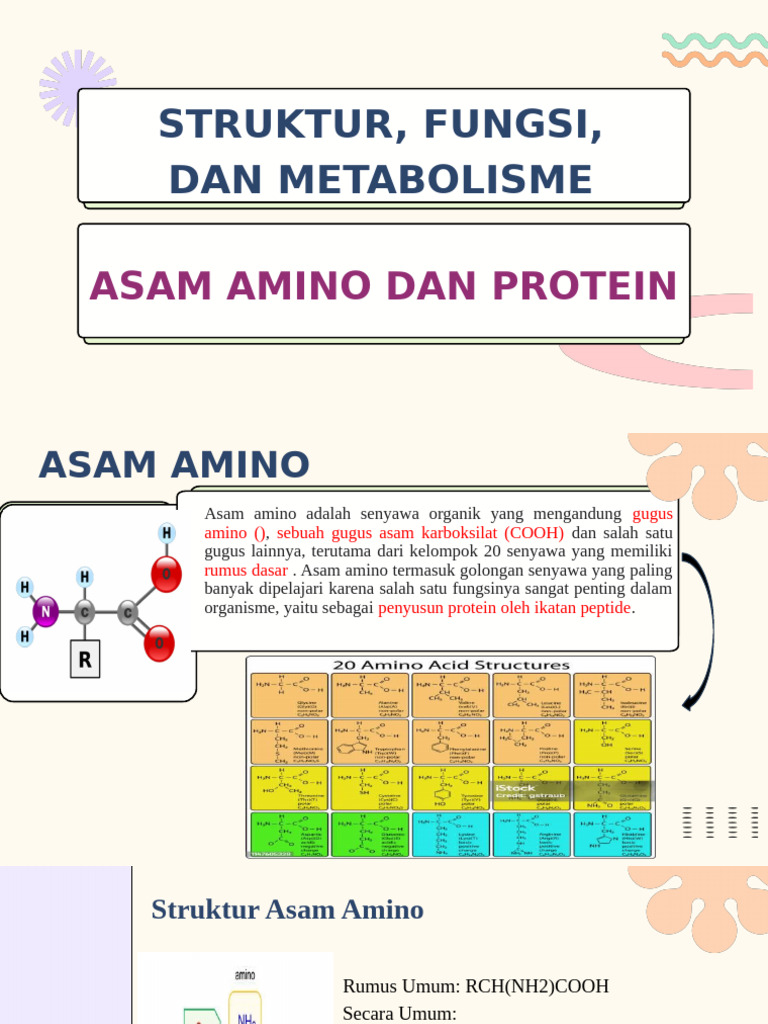 Struktur dan Fungsi Asam Amino dalam Protein | PDF