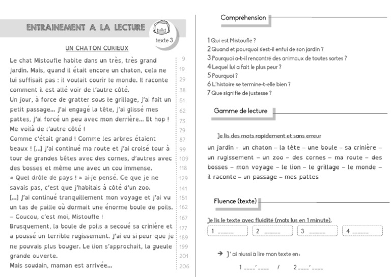 Fluence CE2 P3 | PDF