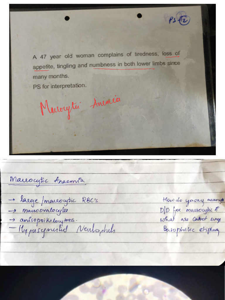 Histo Pathology and Peripheral Smear Discussion | PDF