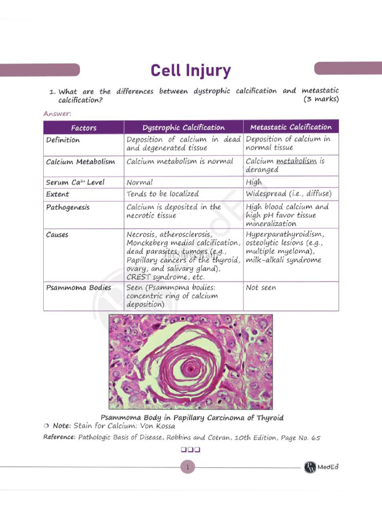 Copy of PATHOLOGY revision | PDF