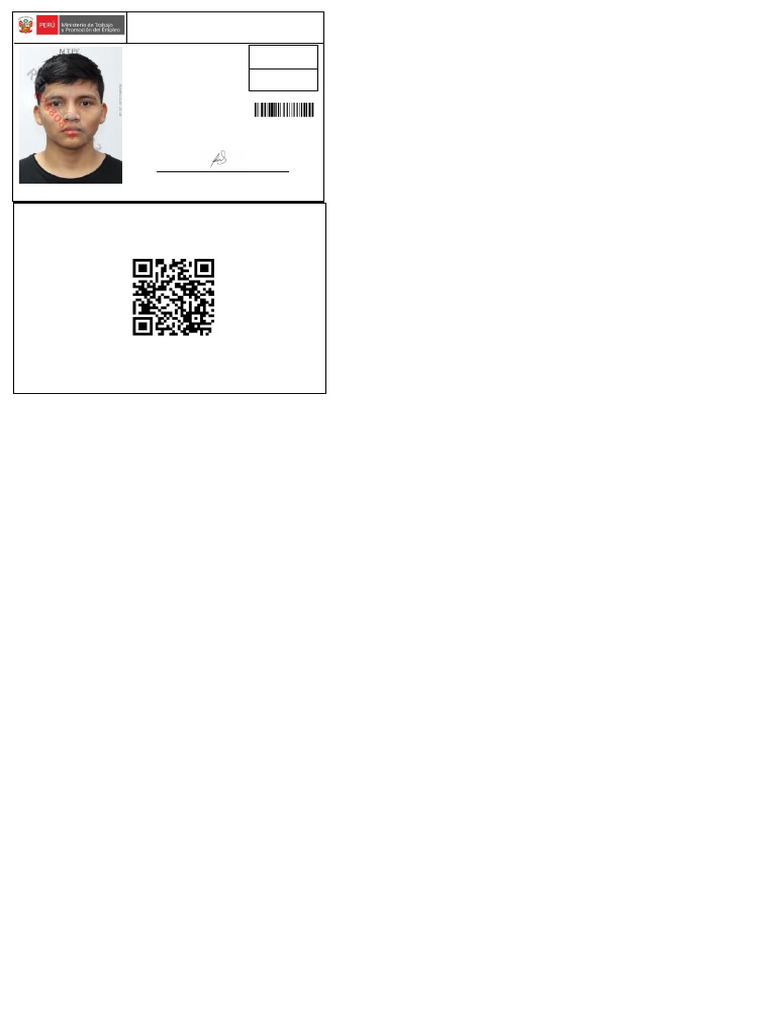 Bardalez Cervano Julio | PDF