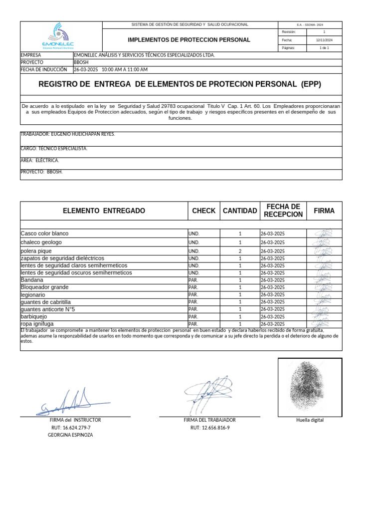 Nuevo Formato Entrega de Epp | PDF