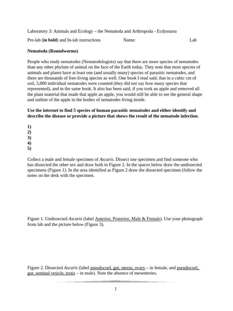 Animals and Ecology Lab 3 | PDF | Nematode | Crustacean