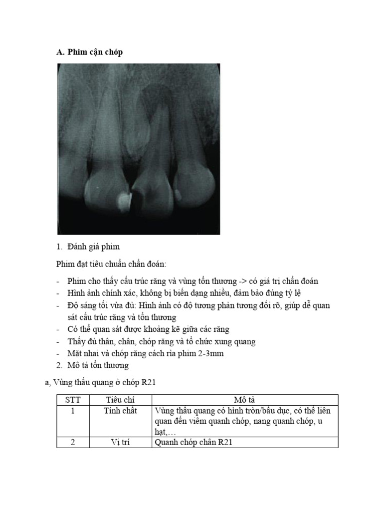 BTVN%20%C4%91o%CC%A3c%20phim | PDF