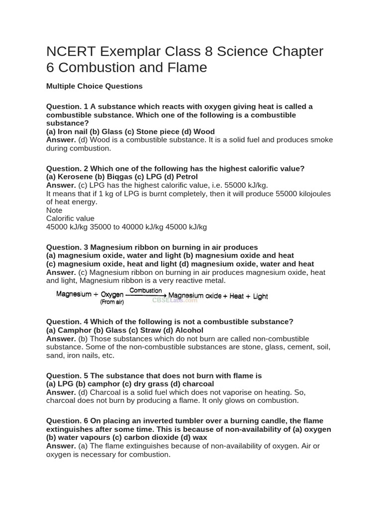 Combustion and Flame NCERT Exemplar Class 8 Science Chapter 6 | PDF | Combustion | Fires