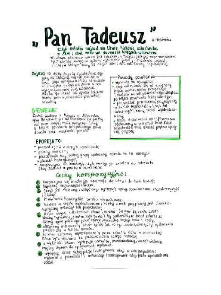 Notatka Pan Tadeusz | PDF