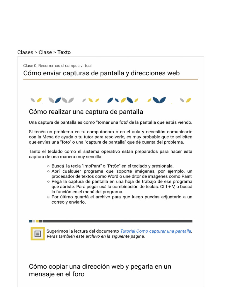 Clase 0 Como Realizar Capturas de Pantalla | PDF