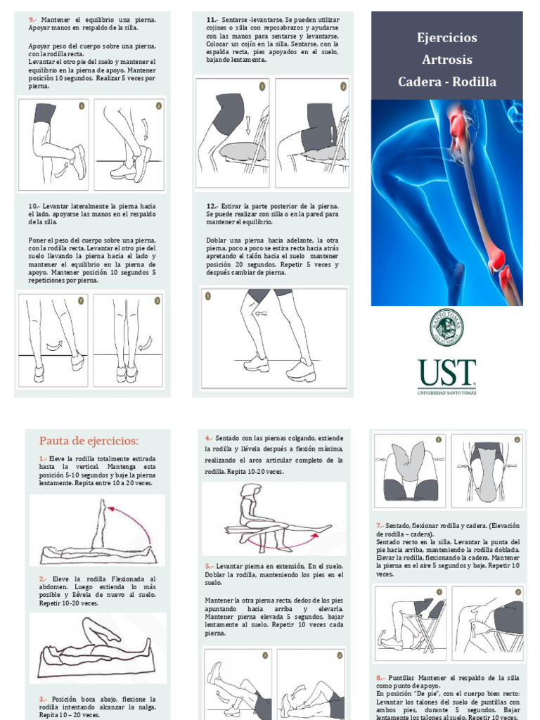 Ejercicios para Artrosis de Cadera y Rodilla | PDF | Rodilla