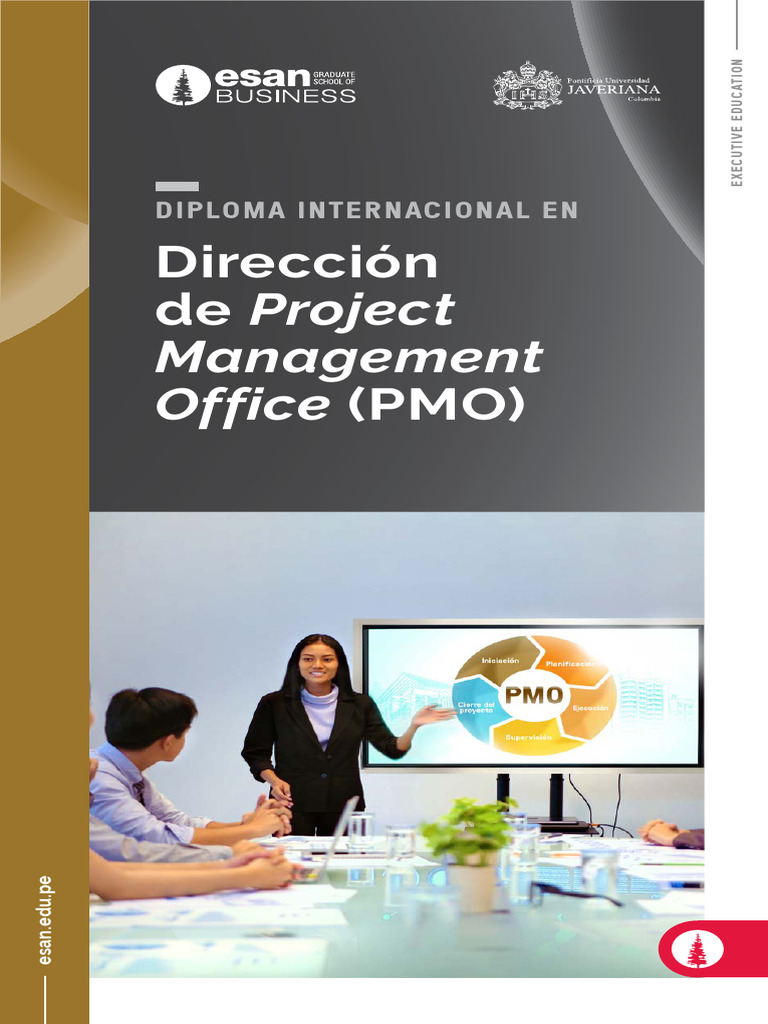 Brochure - Diploma en Dirección de Project Management Office | PDF | Gestión de proyectos ...