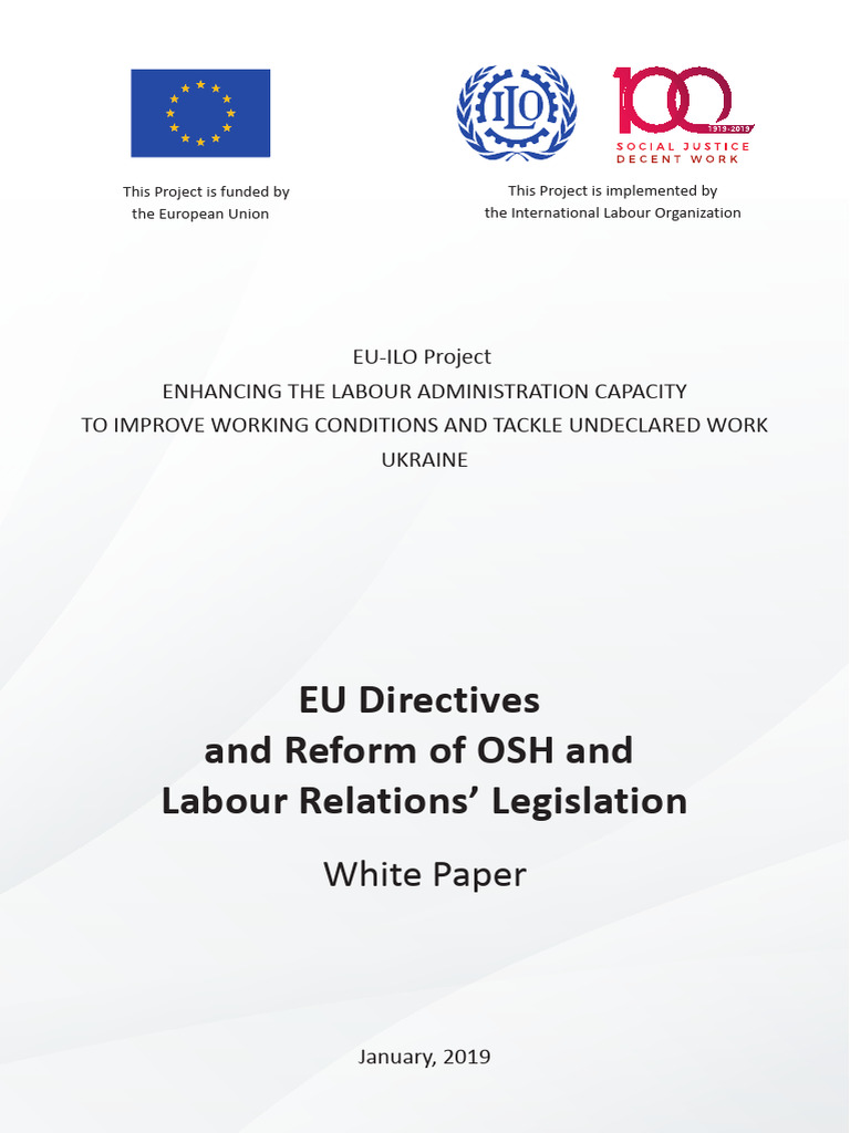 Wcms 689355 | PDF | Occupational Safety And Health | Employment