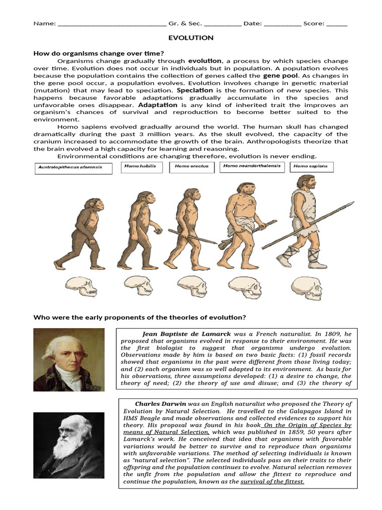 Understanding Evolution and Theories | PDF | Evolution | Fossil