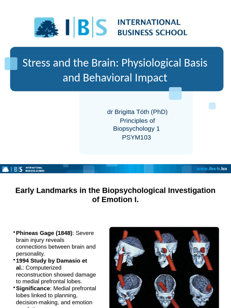 Stress and The Brain | PDF | Stress (Biology) | Fear