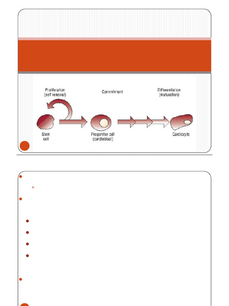 Cell Commitment, Specification and Determination | PDF | Cellular ...