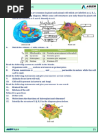 Ingal EPS Street Lighting Poles Catalogue | PDF | Australia