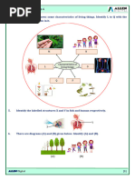 Ingal EPS Street Lighting Poles Catalogue | PDF | Australia