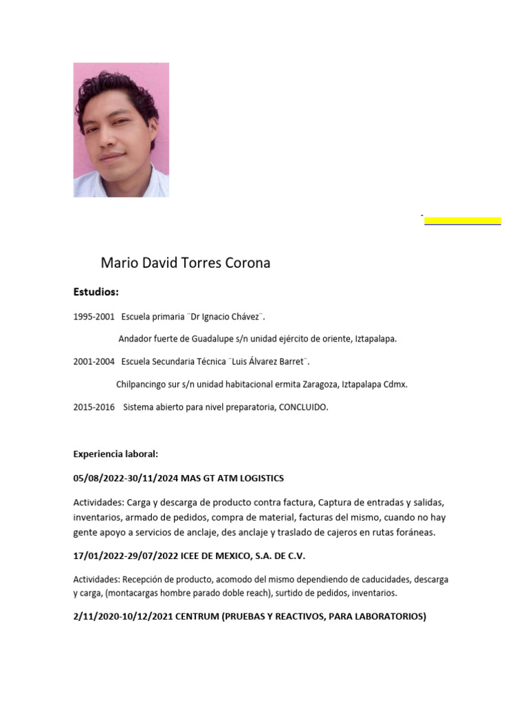 CV de Mario David Torres Corona | PDF | Software | Sector secundario de ...