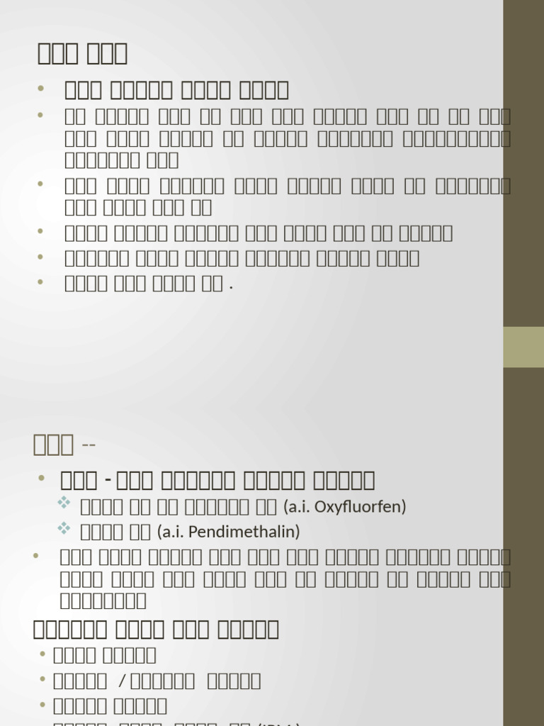 Onion Protaction | PDF