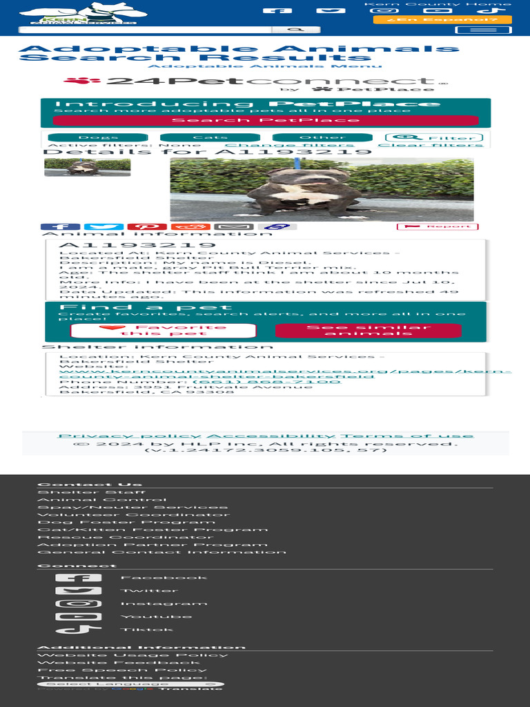 Adoptable Animals Search Results Animal Services, Kern County | PDF