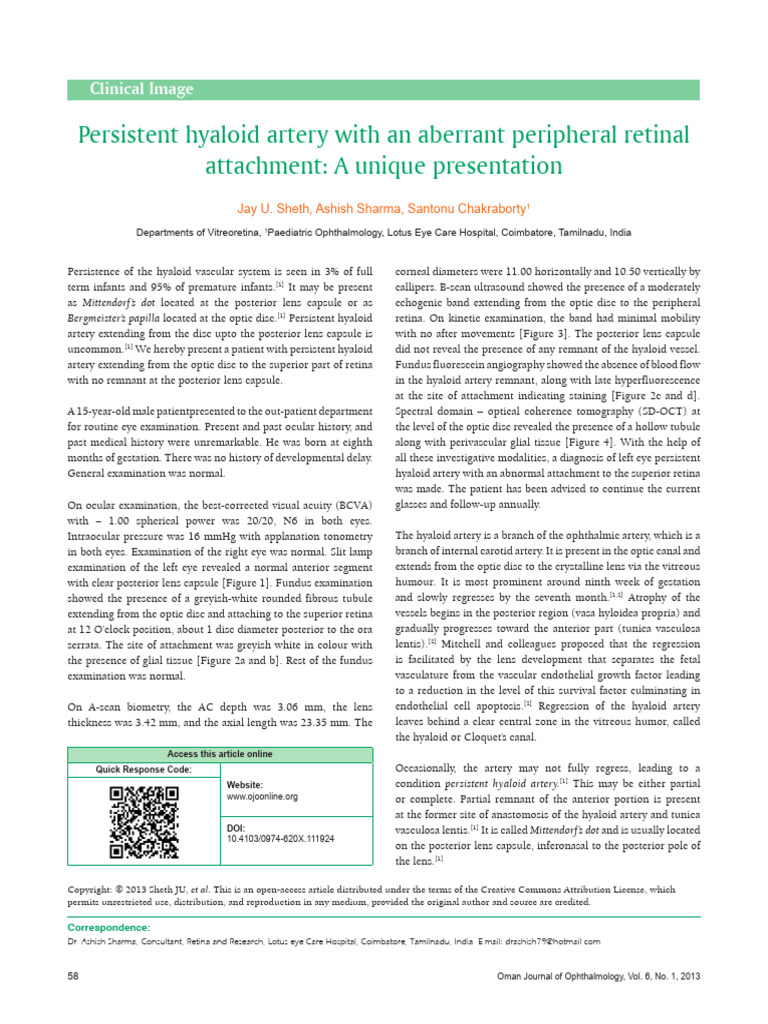 Persistent Hyaloid Artery With An Aberrant.14 | PDF | Retina | Eye