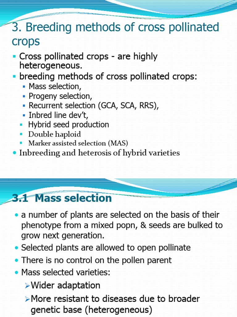 Breeding Methods for Cross Pollinated Crops | PDF | Plant Breeding ...