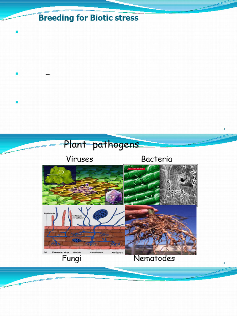 Lecture 5 Breeding For Biotic Stress1 | PDF | Plant Breeding | Pathogen