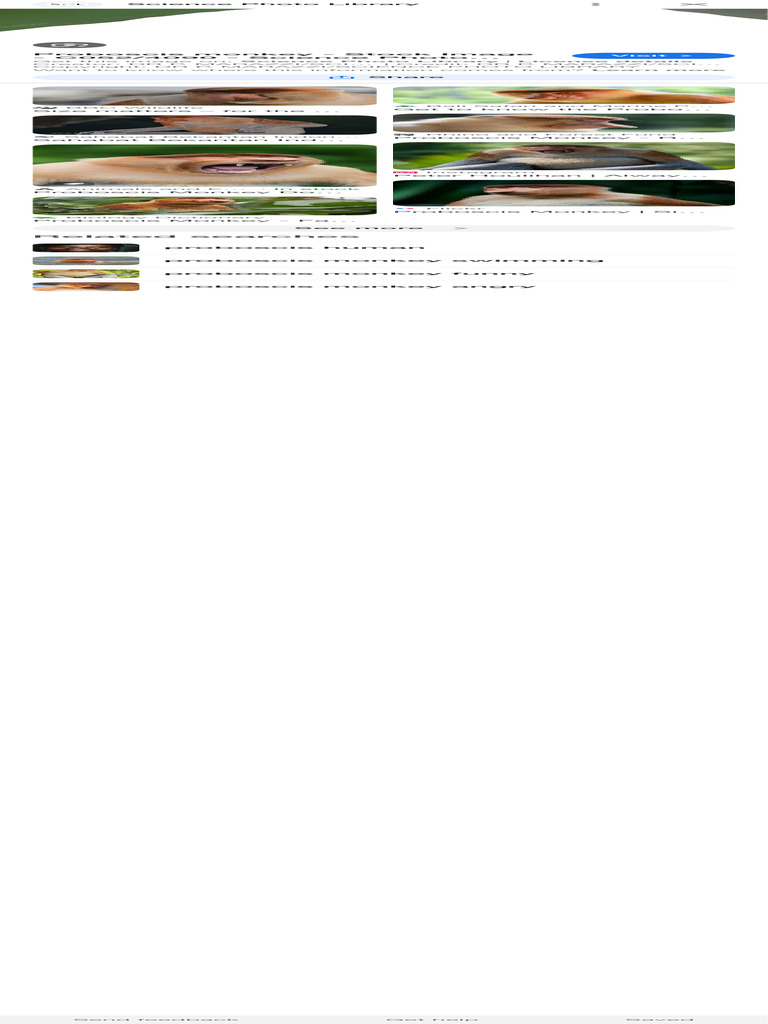 Long Nose Monkey - Google Search | PDF