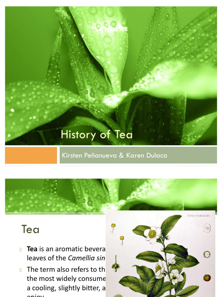 Technical Document Analysis | PDF | Sri Lanka | Tea